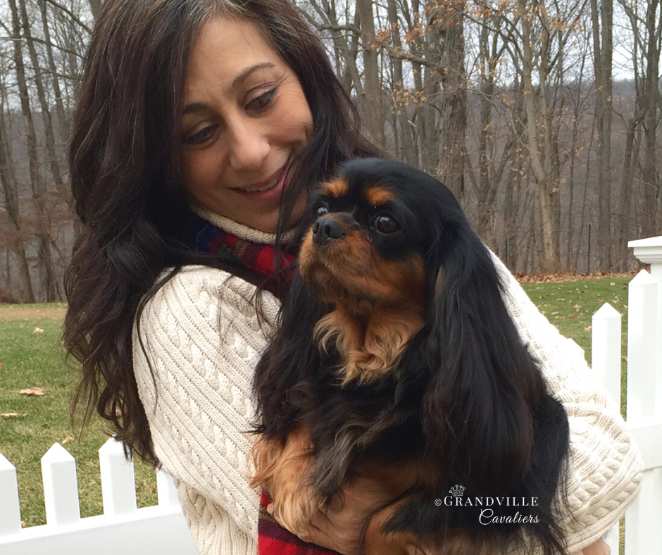 About Our Whole Colors – Grandville Cavaliers Companion
